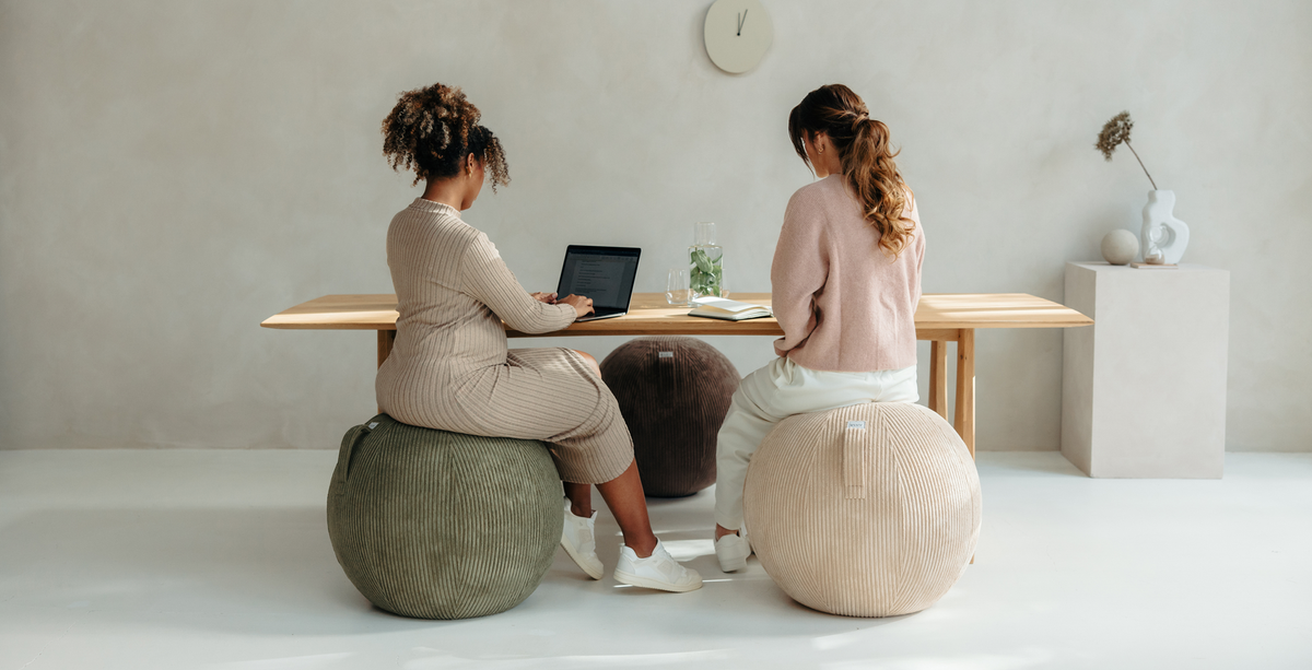 BOL I Der VLUV Sitzball