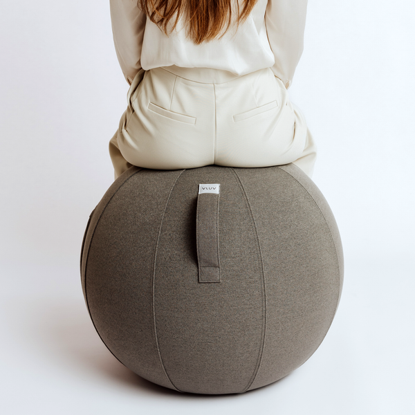 BOL I Der VLUV Sitzball